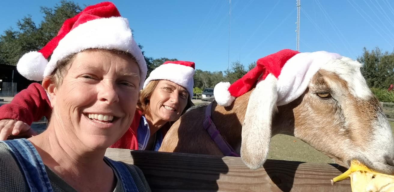 About Us…Life at the Farm – First Ladies Farm