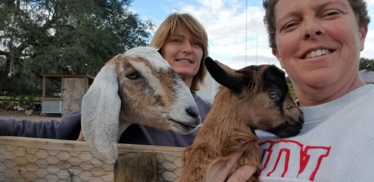 About Us…Life at the Farm – First Ladies Farm