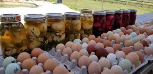 About Us…Life at the Farm – First Ladies Farm