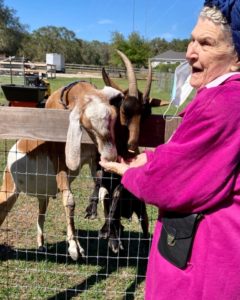 About Us…Life at the Farm – First Ladies Farm
