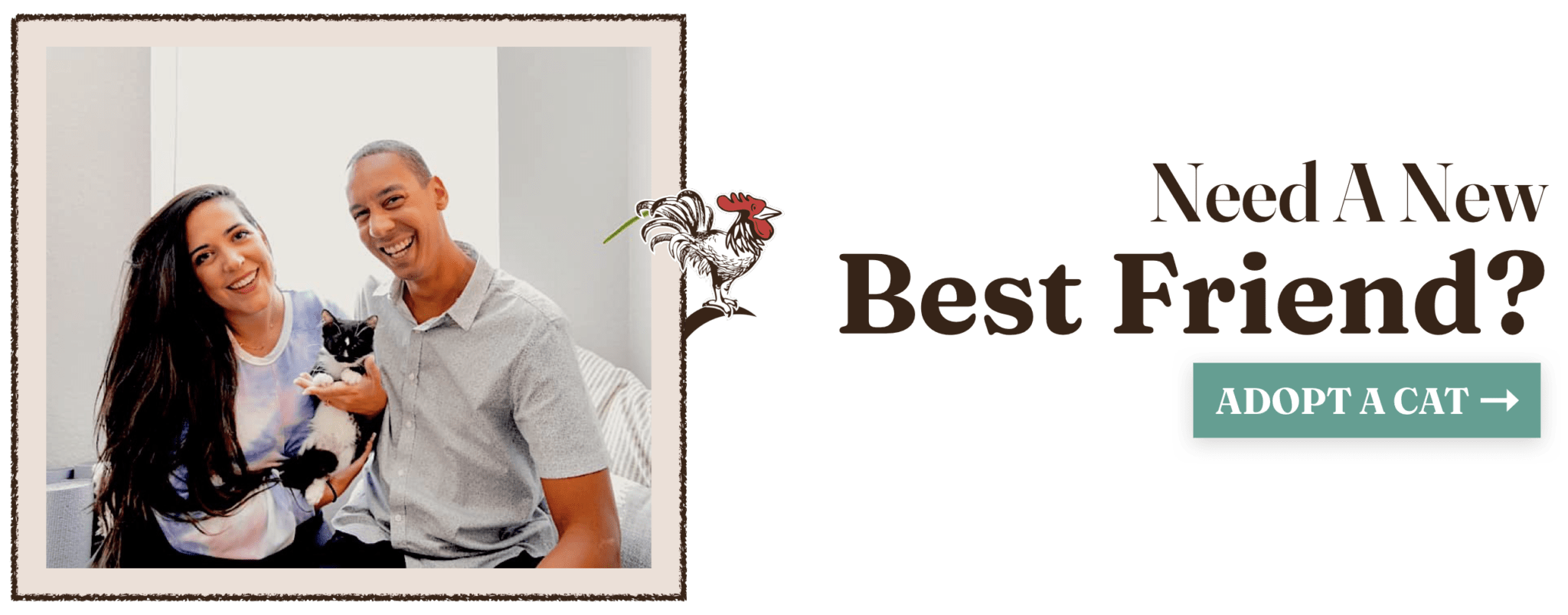 First Ladies Farm – Reinventing Rescue