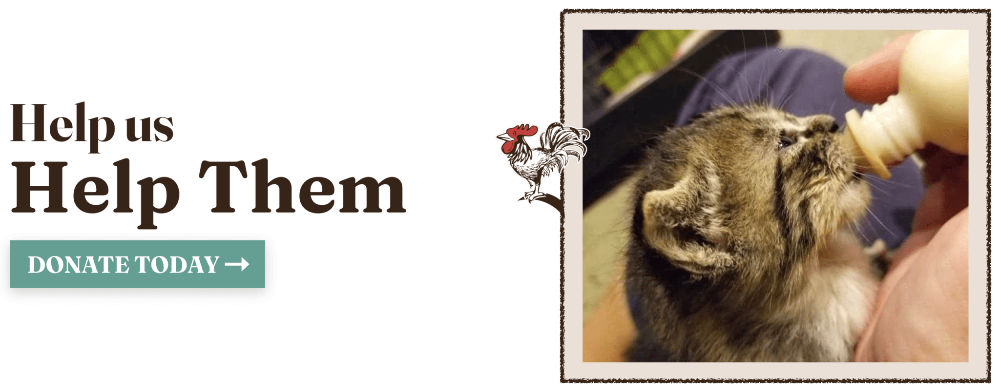 First Ladies Farm – Reinventing Rescue