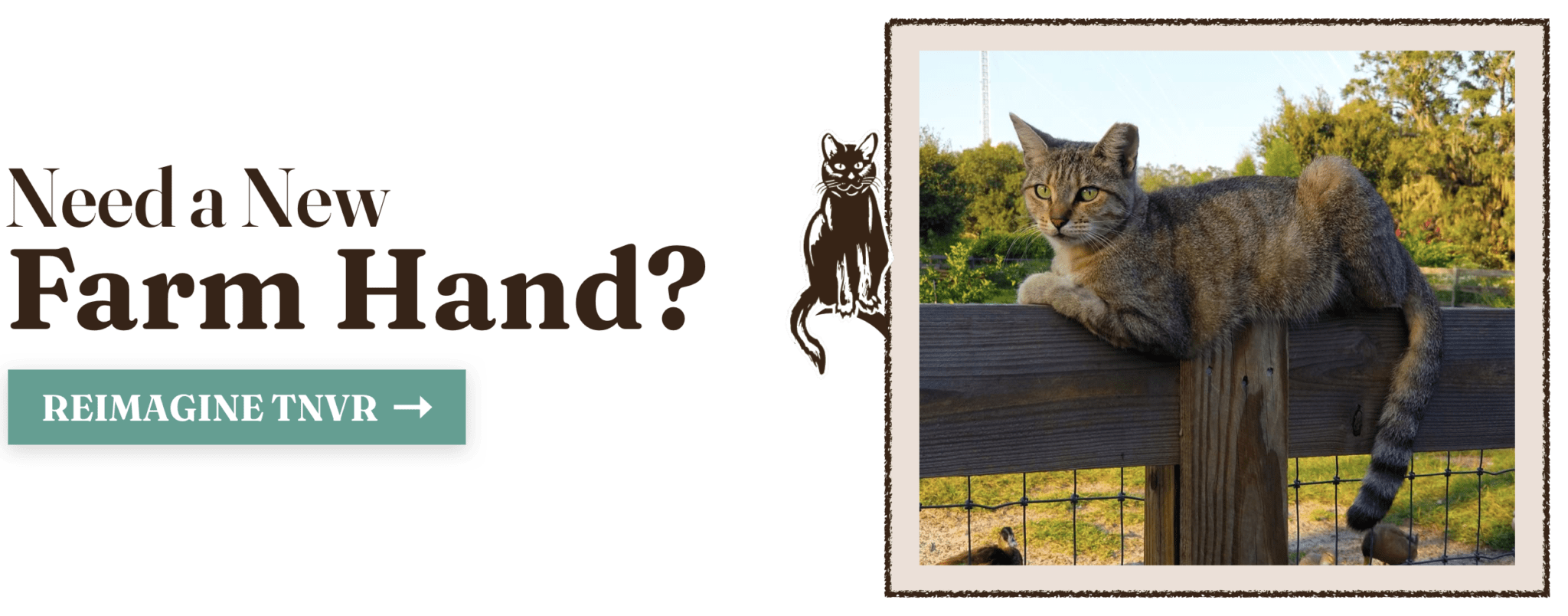 First Ladies Farm – Reinventing Rescue